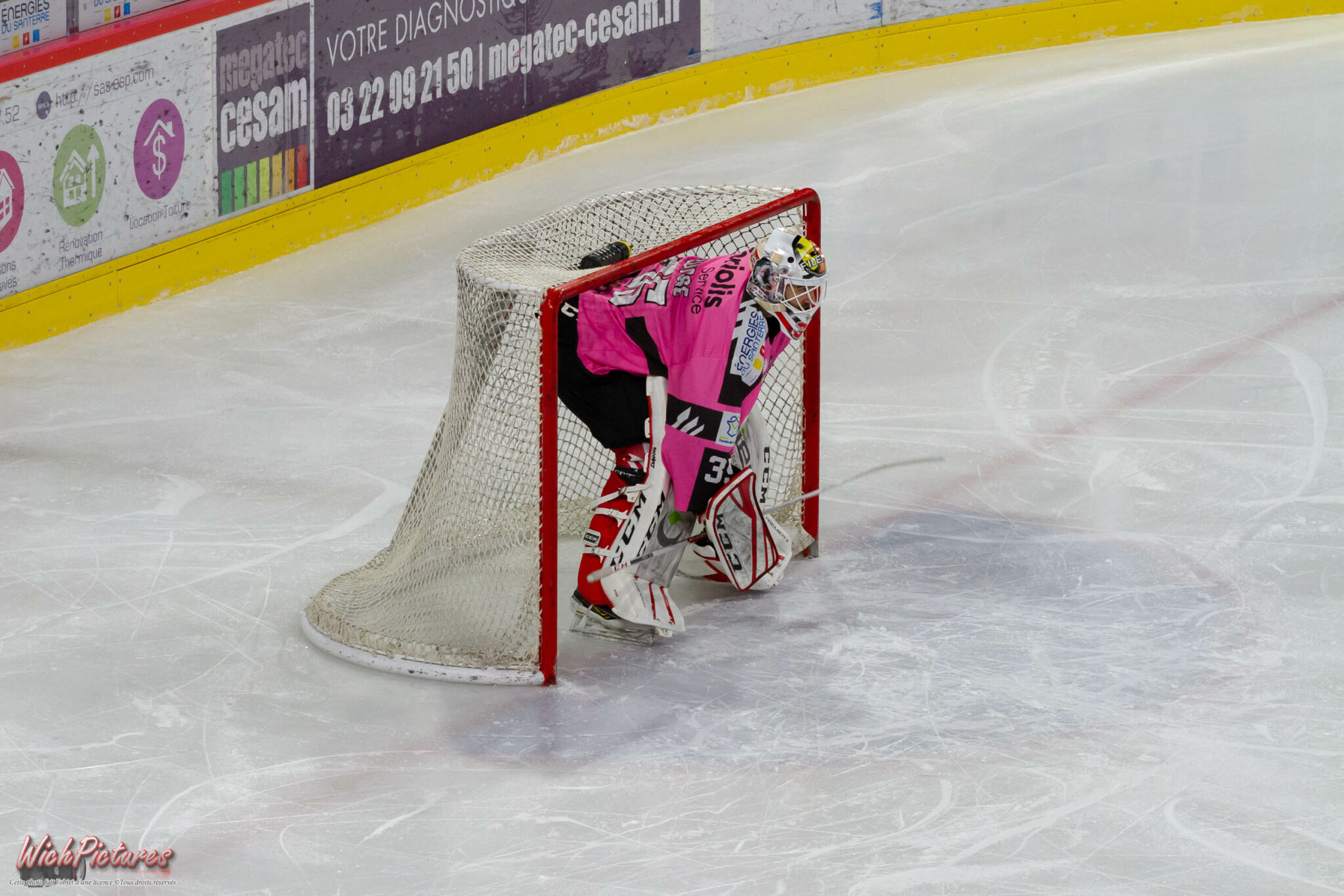 David Wichmann - Wichpictures